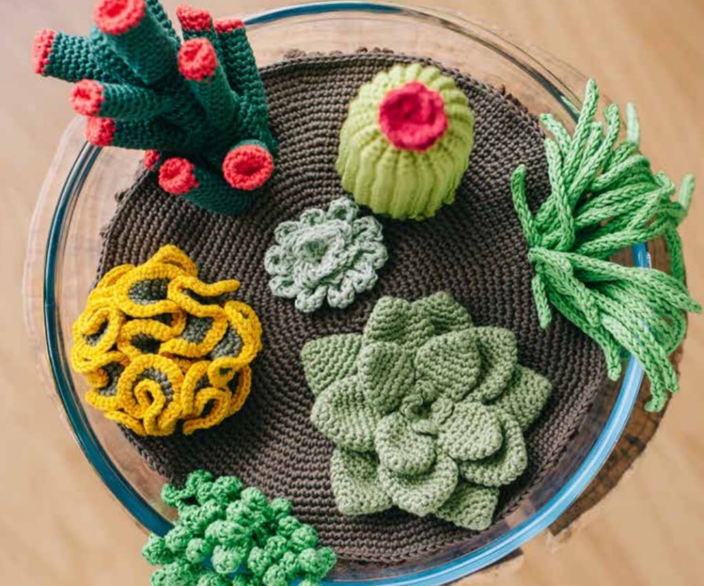 Succulents Free Crochet Pattern » Weave Crochet